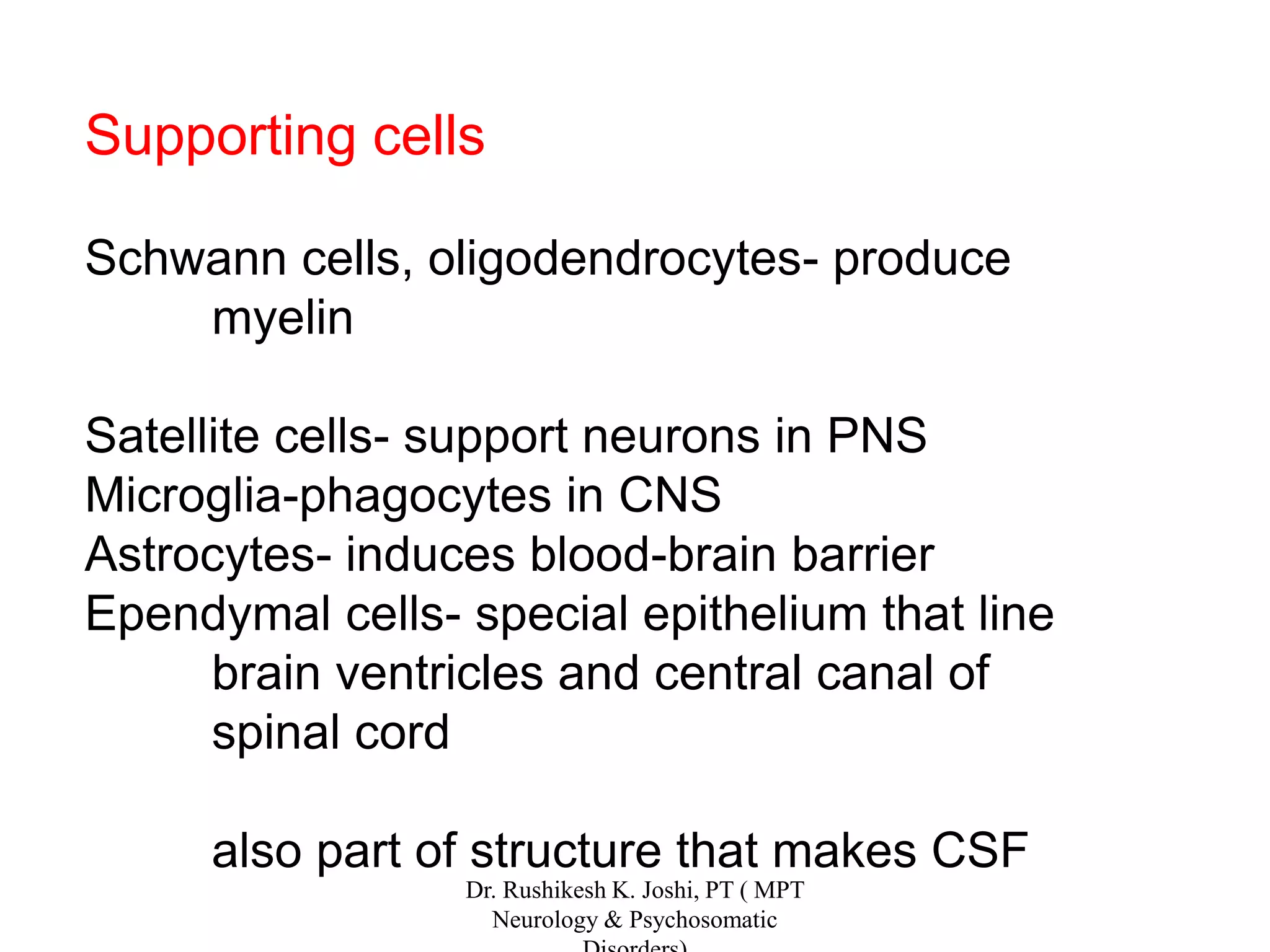 Neuron - Overview of Nervous system | PPT