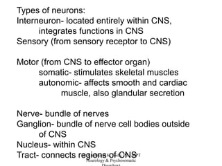 Neuron - Overview of Nervous system | PPT
