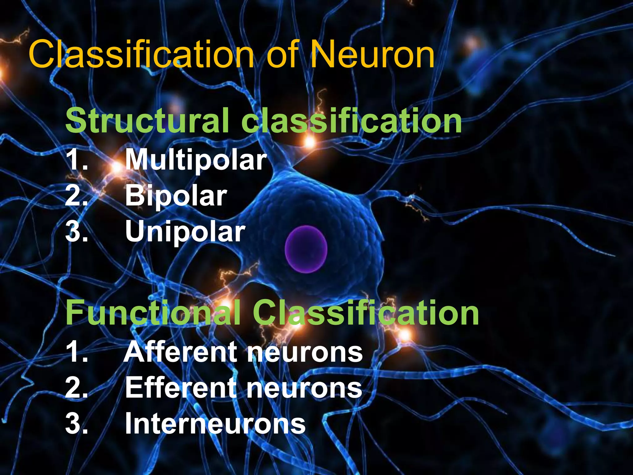 Neuron structure | PPTX