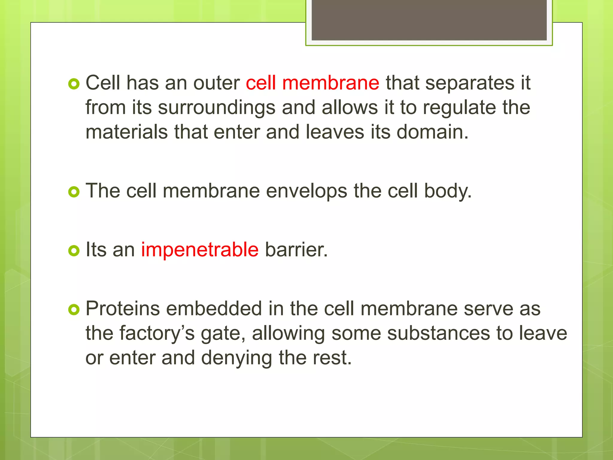 Neuron structure and nerve cells | PPTX