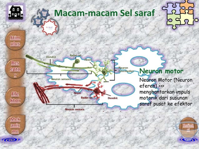 Neuron system project | PPT