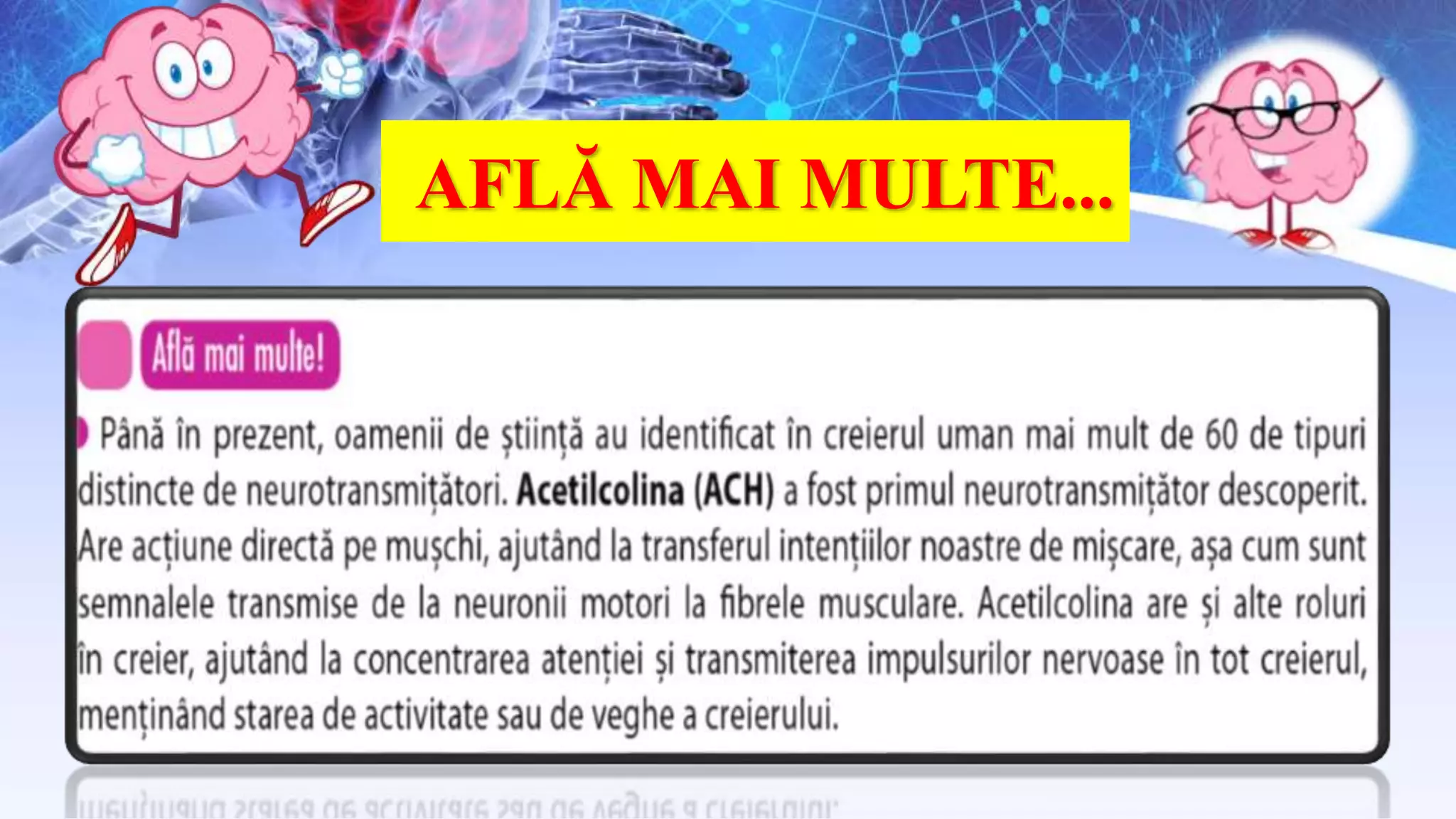 neuronul (1).pdf