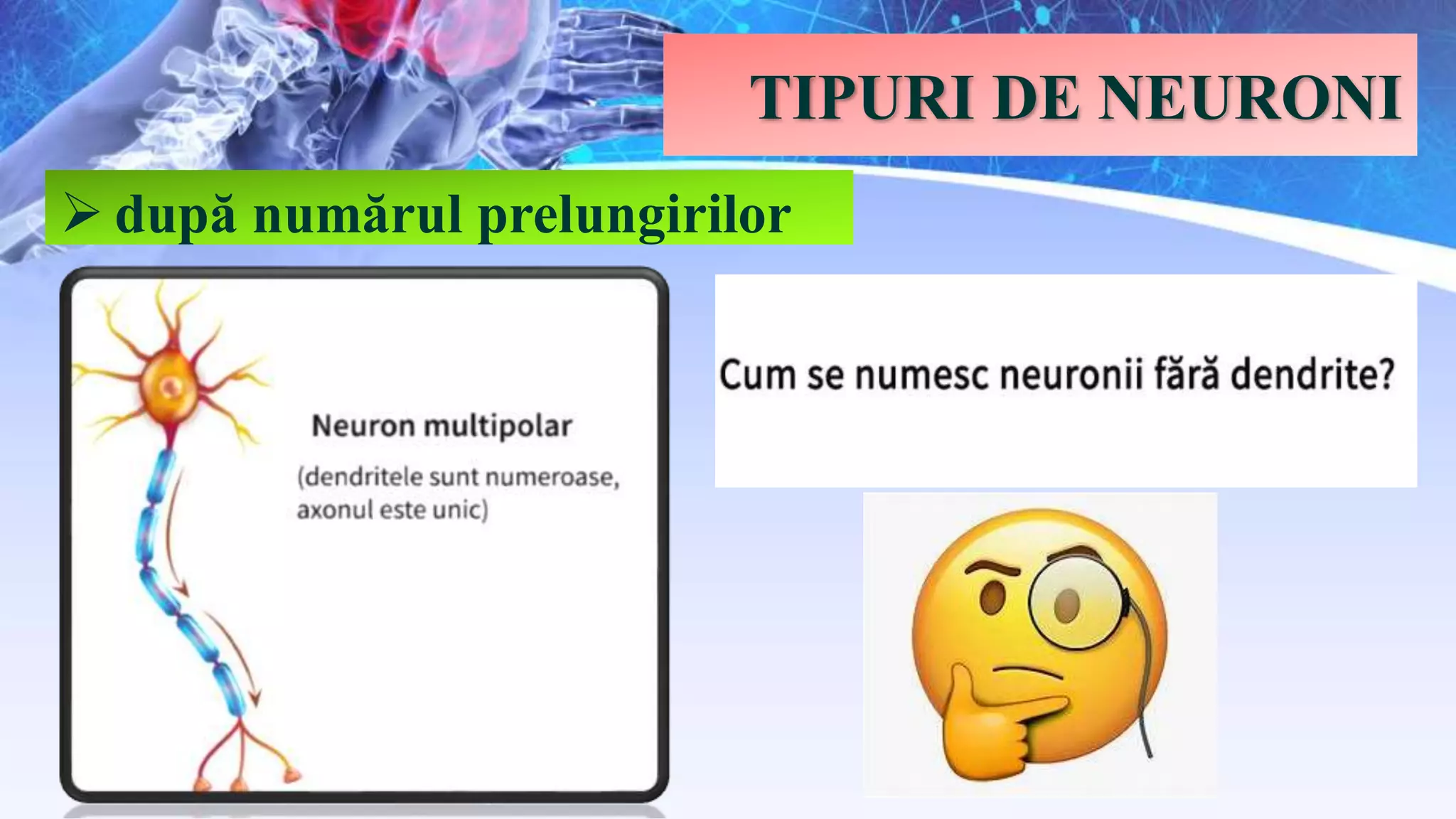 neuronul (1).pdf