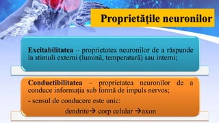 neuronul (1).pdf