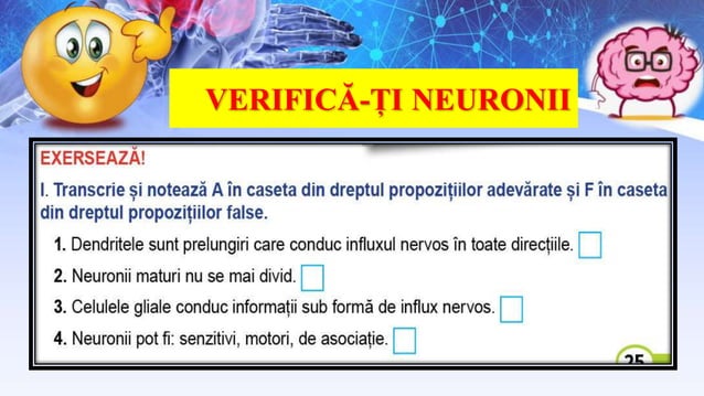 neuronul (1).pdf