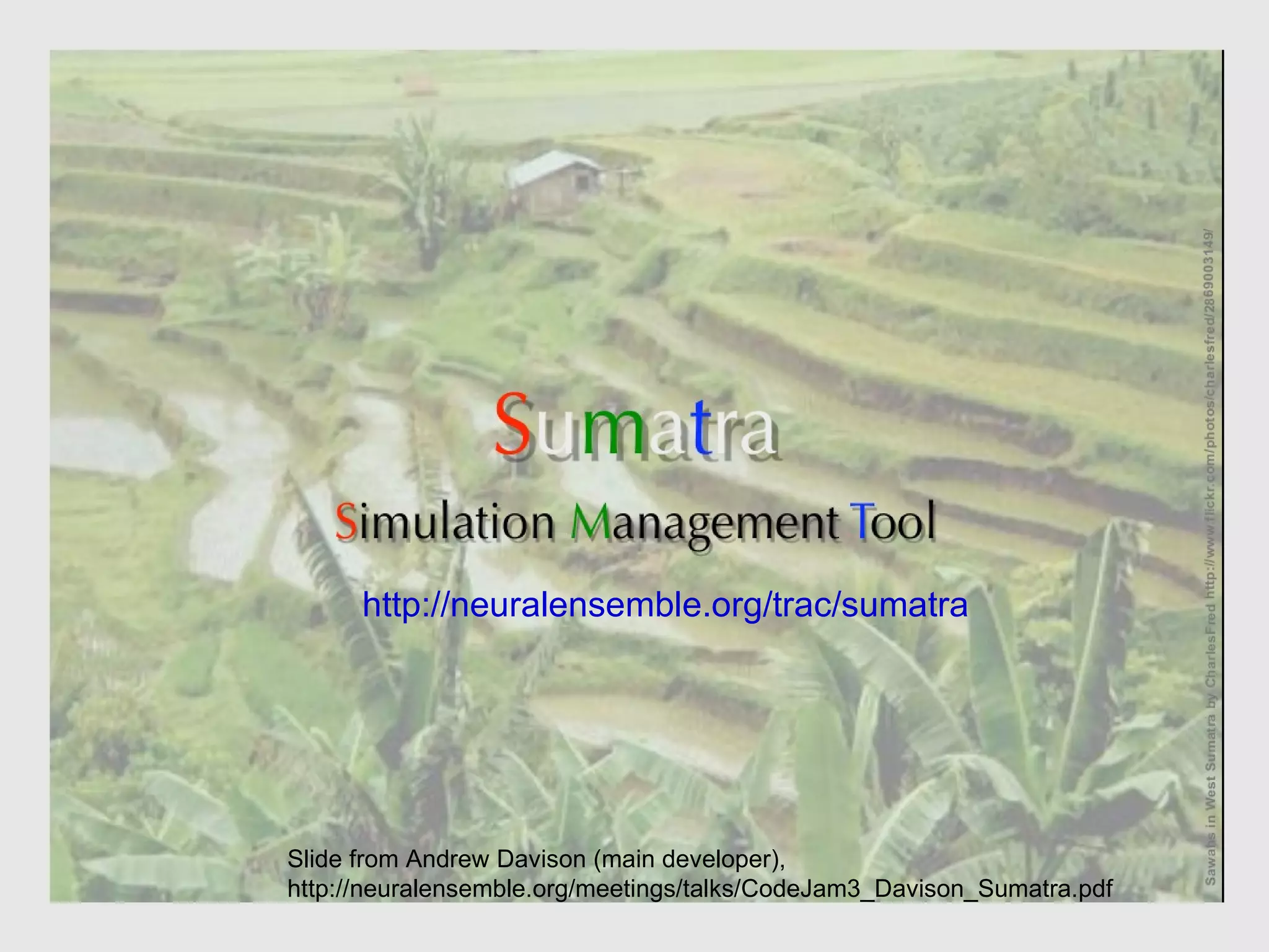 Neuronvisio sumatra workflow | ODP