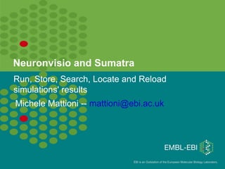 Neuronvisio sumatra workflow | ODP