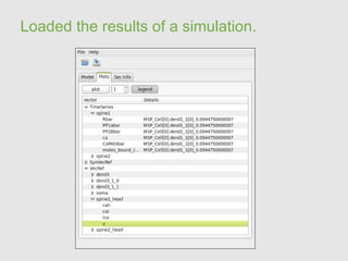 Neuronvisio sumatra workflow | ODP