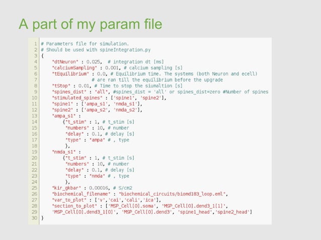 Neuronvisio sumatra workflow | ODP