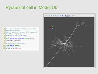 Neuronvisio sumatra workflow | ODP