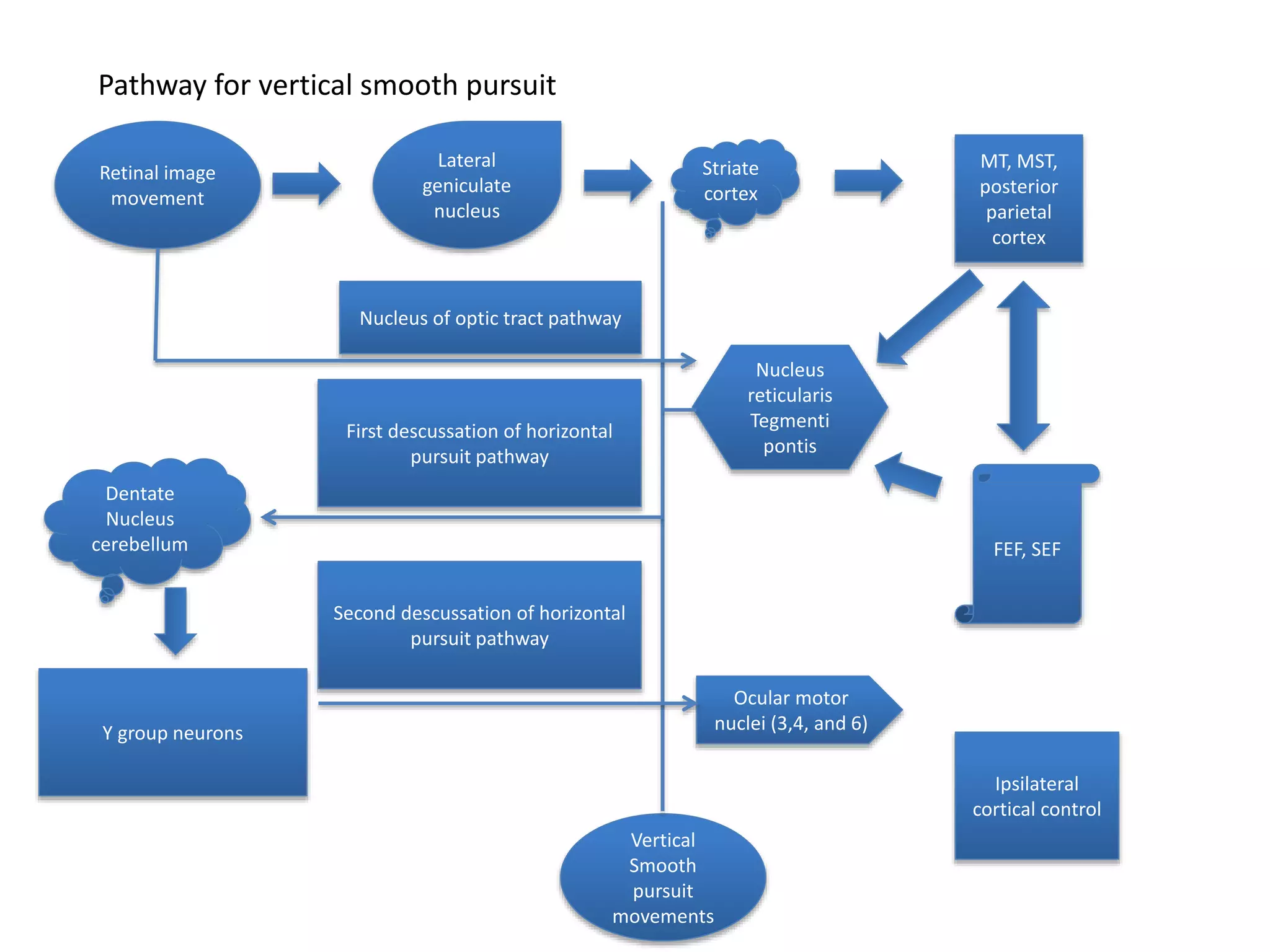 Neuro ophthalmology Basics | PPTX