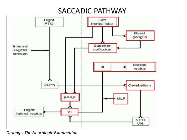 Neuro ophthalmology Basics