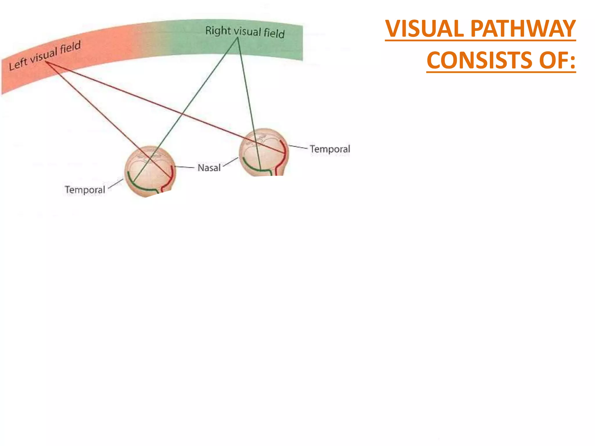 NEURO-OPHTHALMOLOGY | PPTX