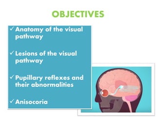 NEURO-OPHTHALMOLOGY | PPTX