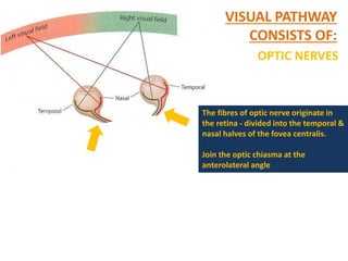 NEURO-OPHTHALMOLOGY | PPTX