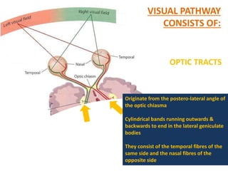 NEURO-OPHTHALMOLOGY | PPTX