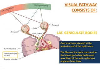 NEURO-OPHTHALMOLOGY | PPTX