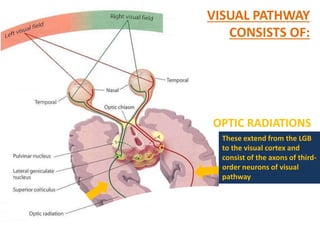 NEURO-OPHTHALMOLOGY | PPTX