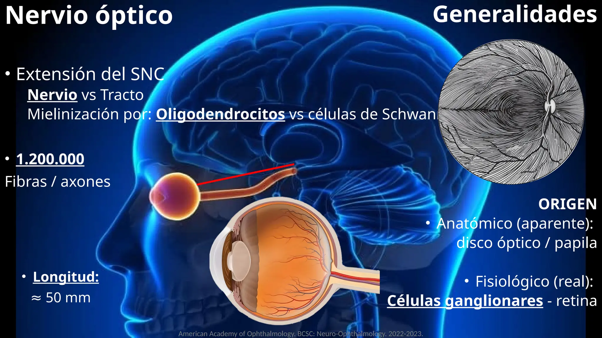 Neuropatía óptica traumática (Nervio óptico, defecto pupilar aferente ...