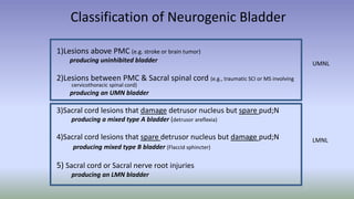 Neuropathic bladder disorders | PPTX