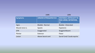 Neuropathic bladder disorders | PPTX