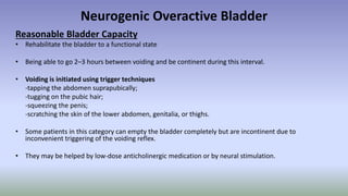 Neuropathic bladder disorders | PPTX