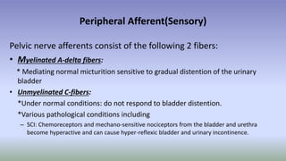 Neuropathic bladder disorders | PPTX