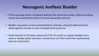 Neuropathic bladder disorders | PPTX