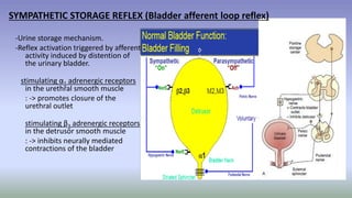 Neuropathic bladder disorders | PPTX