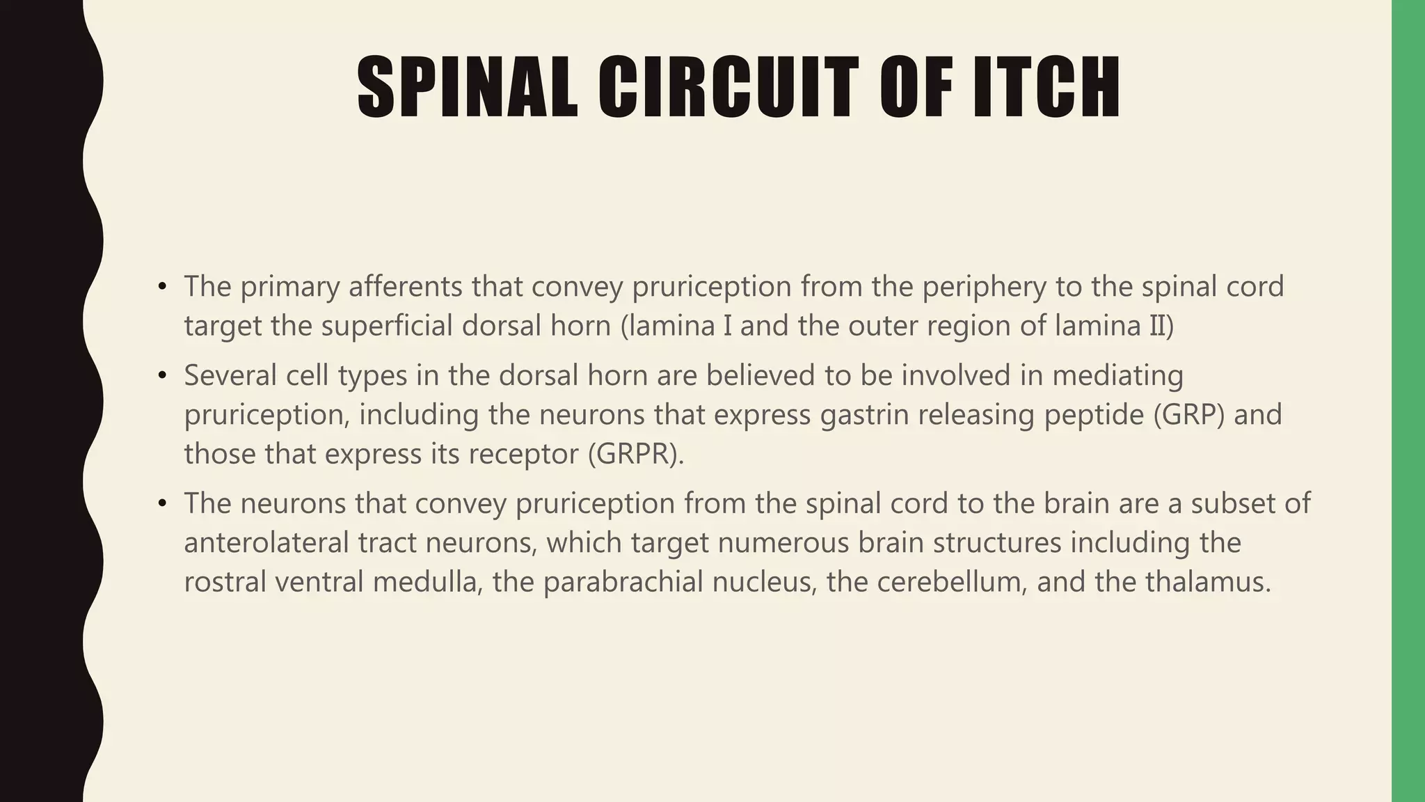 Neuropathic Itch | PPTX