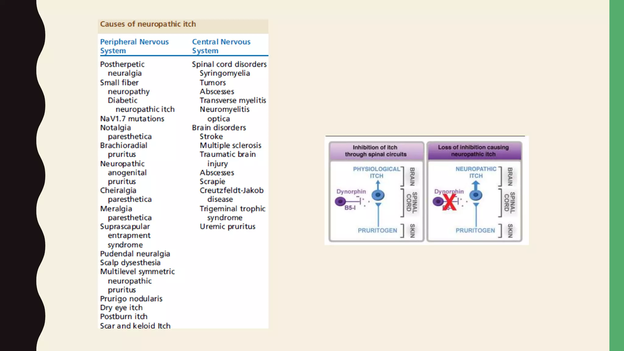 Neuropathic Itch | PPTX
