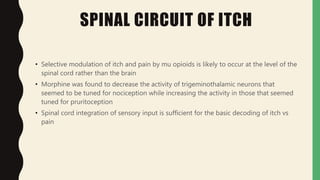 Neuropathic Itch | PPTX