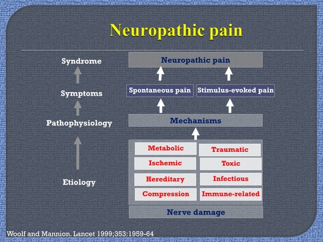 Neuropathic pain | PDF | Brain and Nervous System Disorders | Diseases ...