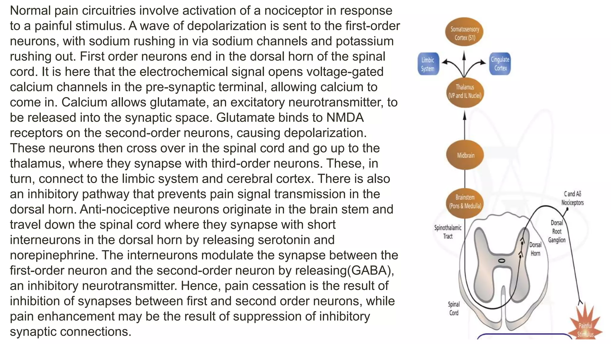 Neuropathic pain | PPTX