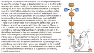 Neuropathic pain | PPTX