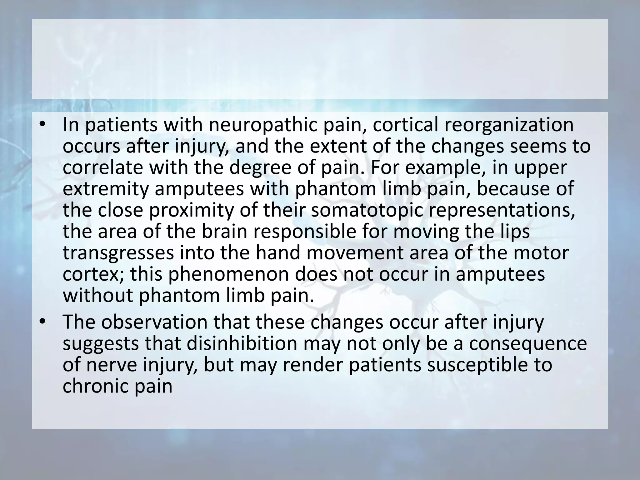 Neuropathic pain | PDF