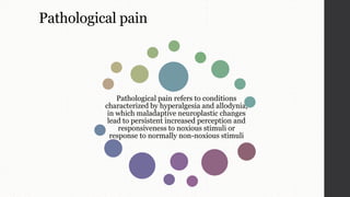 Neuropathic pain | PPTX