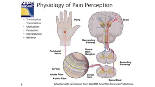 Neuropathic pain management | PPTX