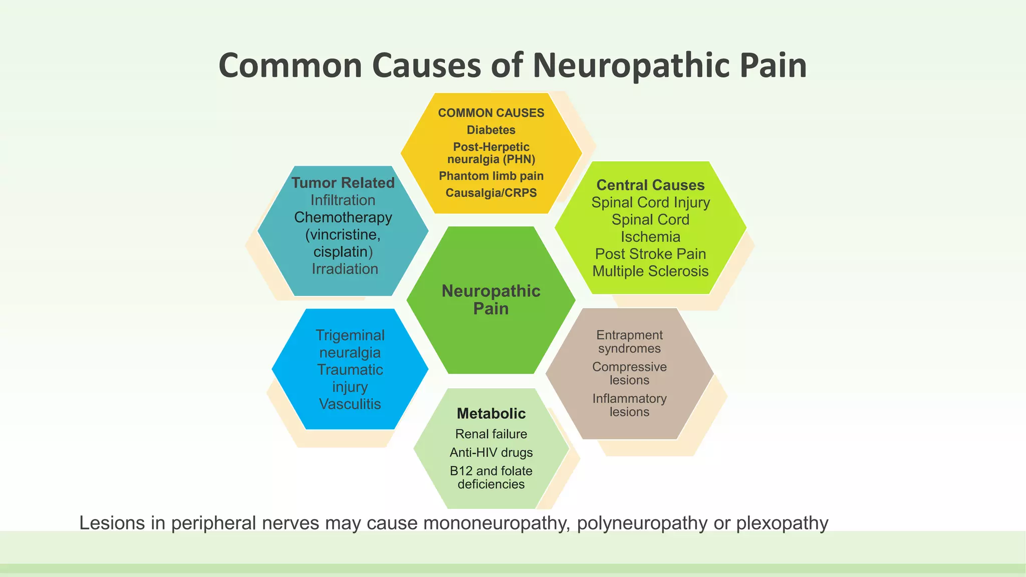 Neuropathic pain vs nociceptive pain | PPTX