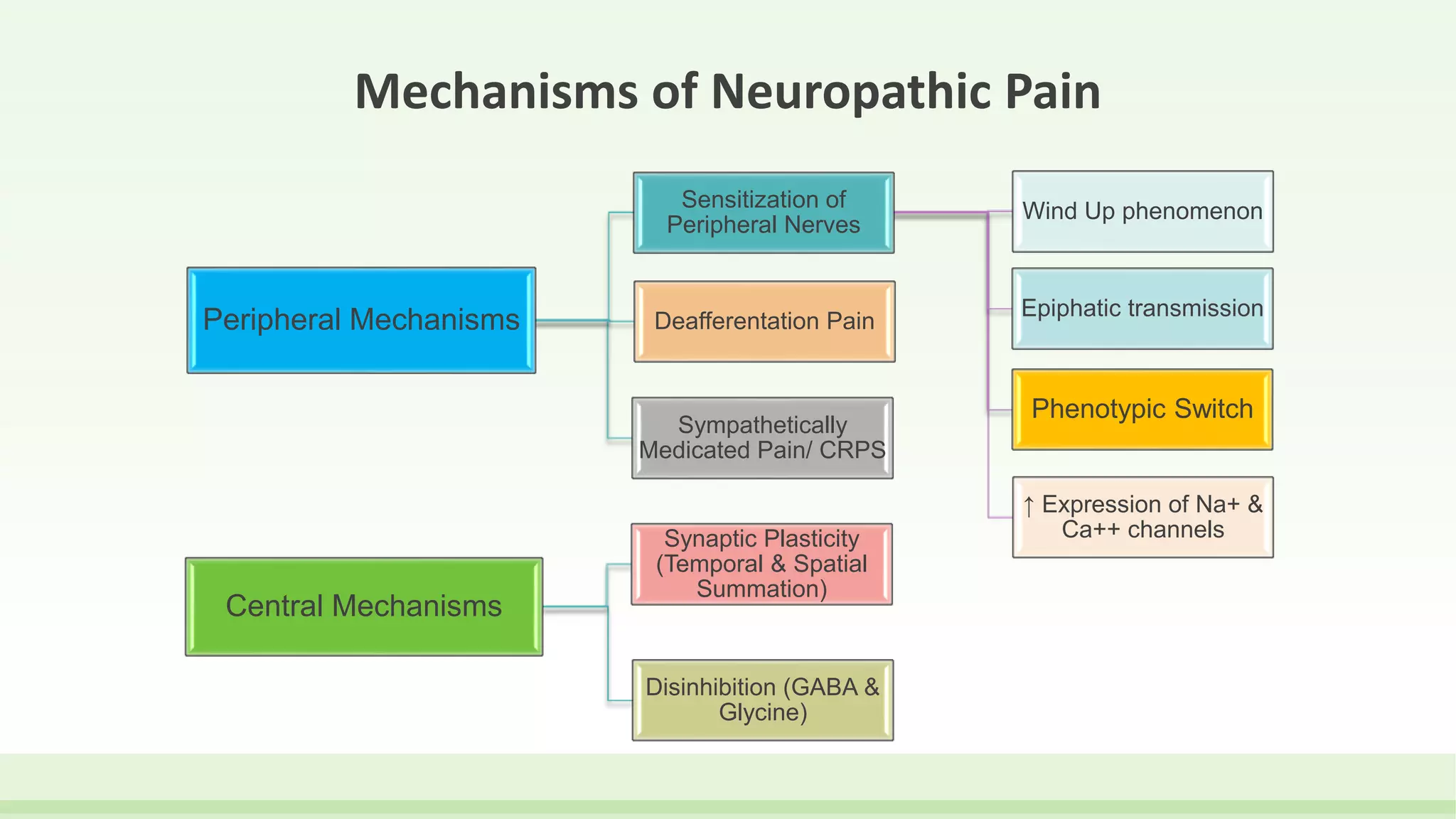 Neuropathic pain vs nociceptive pain | PPTX