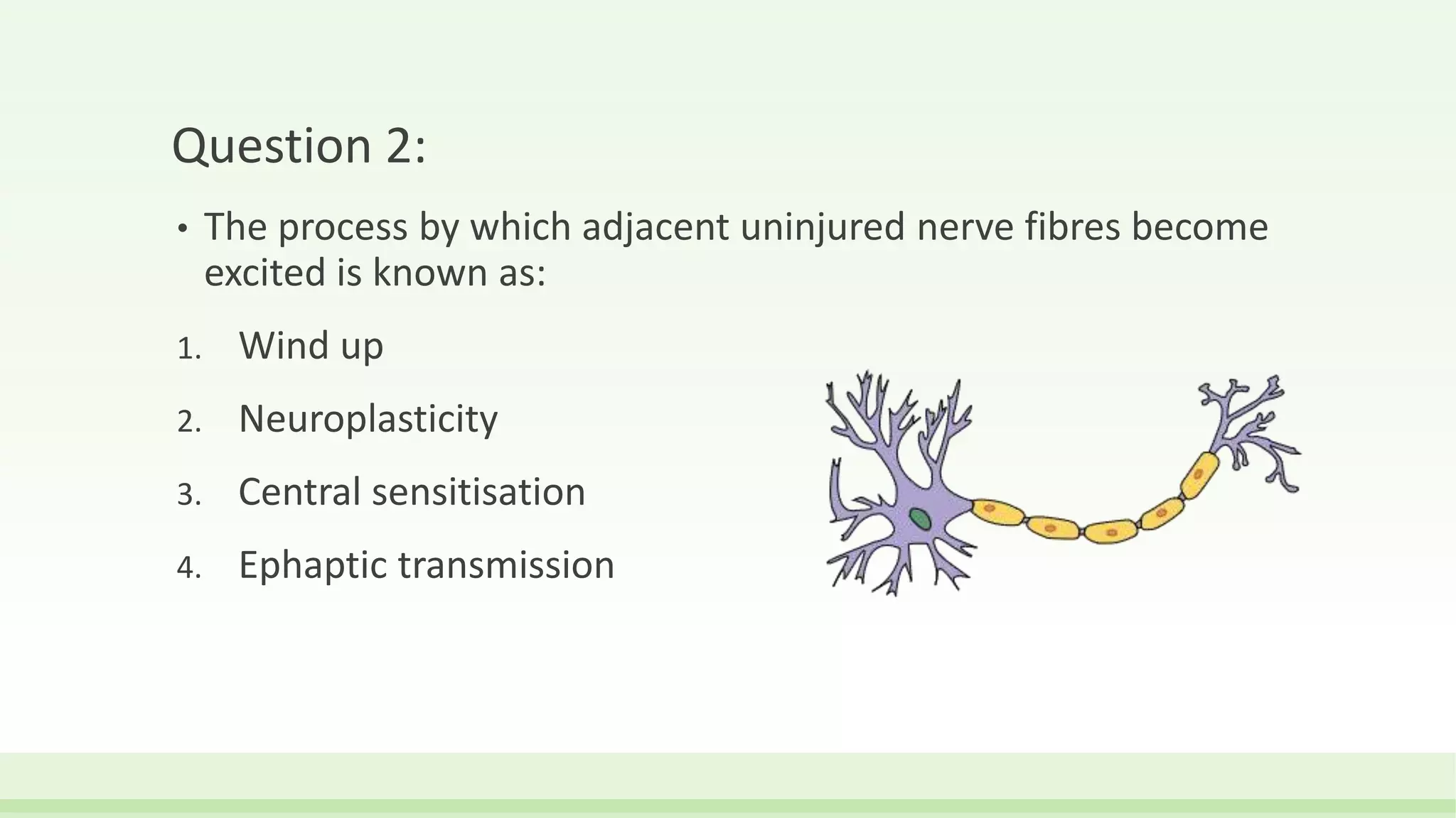 Neuropathic pain vs nociceptive pain | PPTX