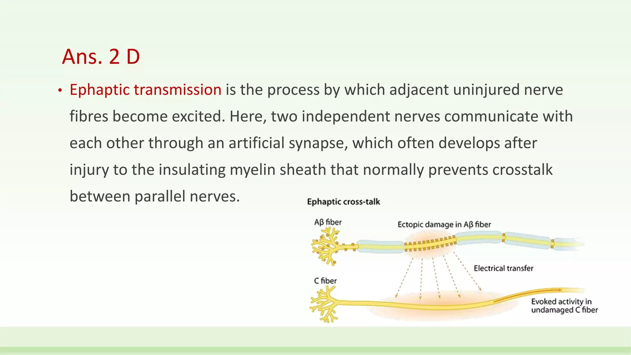 Neuropathic pain vs nociceptive pain | PPTX