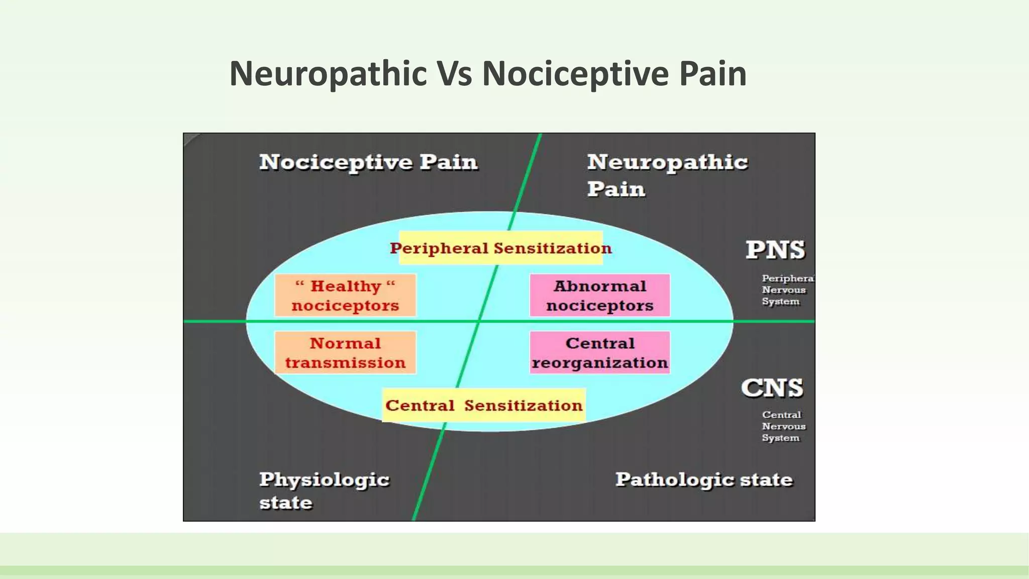 Neuropathic pain vs nociceptive pain | PPTX