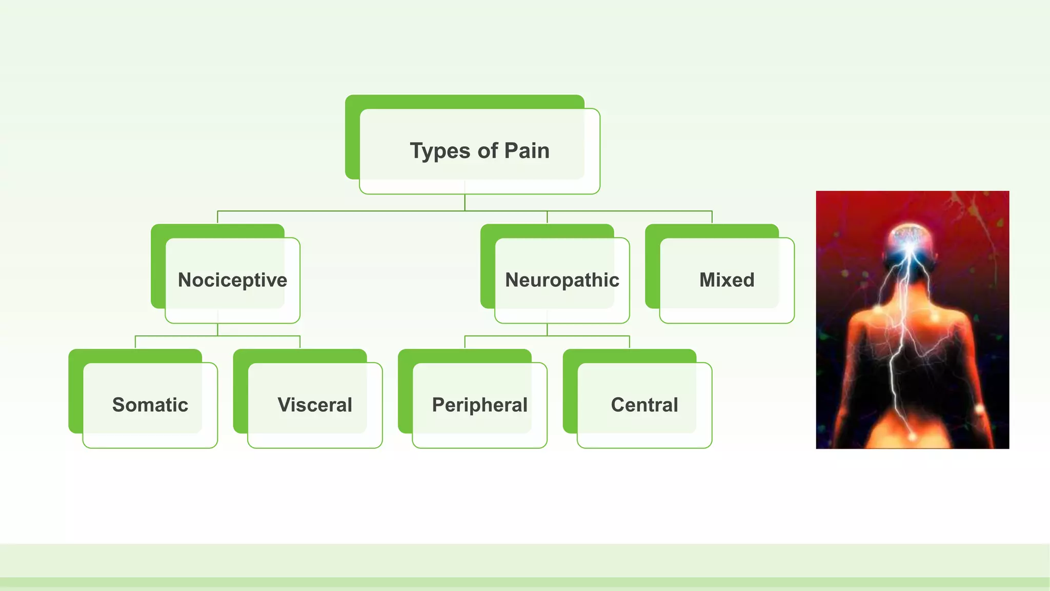 Neuropathic pain vs nociceptive pain | PPTX