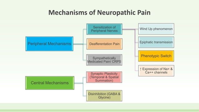 Neuropathic pain vs nociceptive pain | PPTX