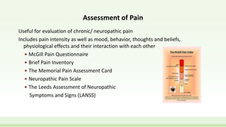 Neuropathic pain vs nociceptive pain | PPTX