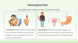 Neuropathic pain vs nociceptive pain | PPTX