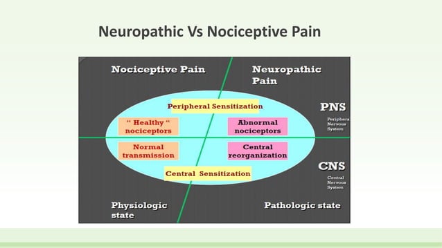 Neuropathic pain vs nociceptive pain | PPT