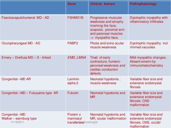 Neuropathies & myopathies - an overview