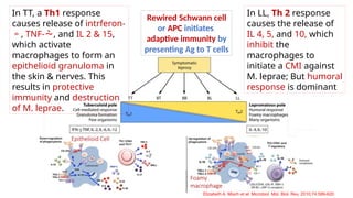 Neuropathology of Hansen - Pathophysiology (1).pptx